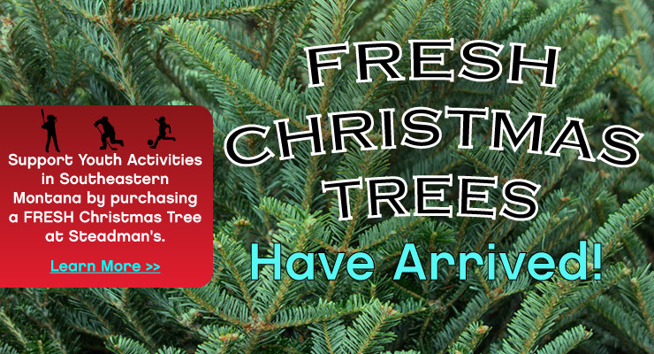 Steadman's Ace Hardware in Miles City, Montana